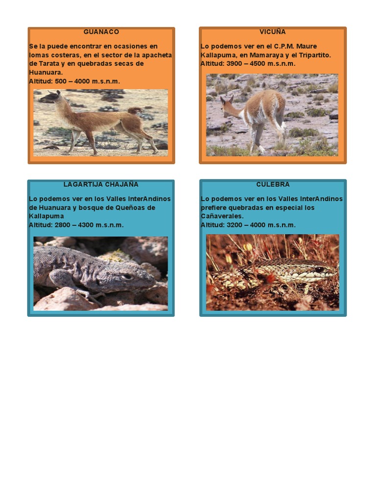 Animales de Tacna | PDF