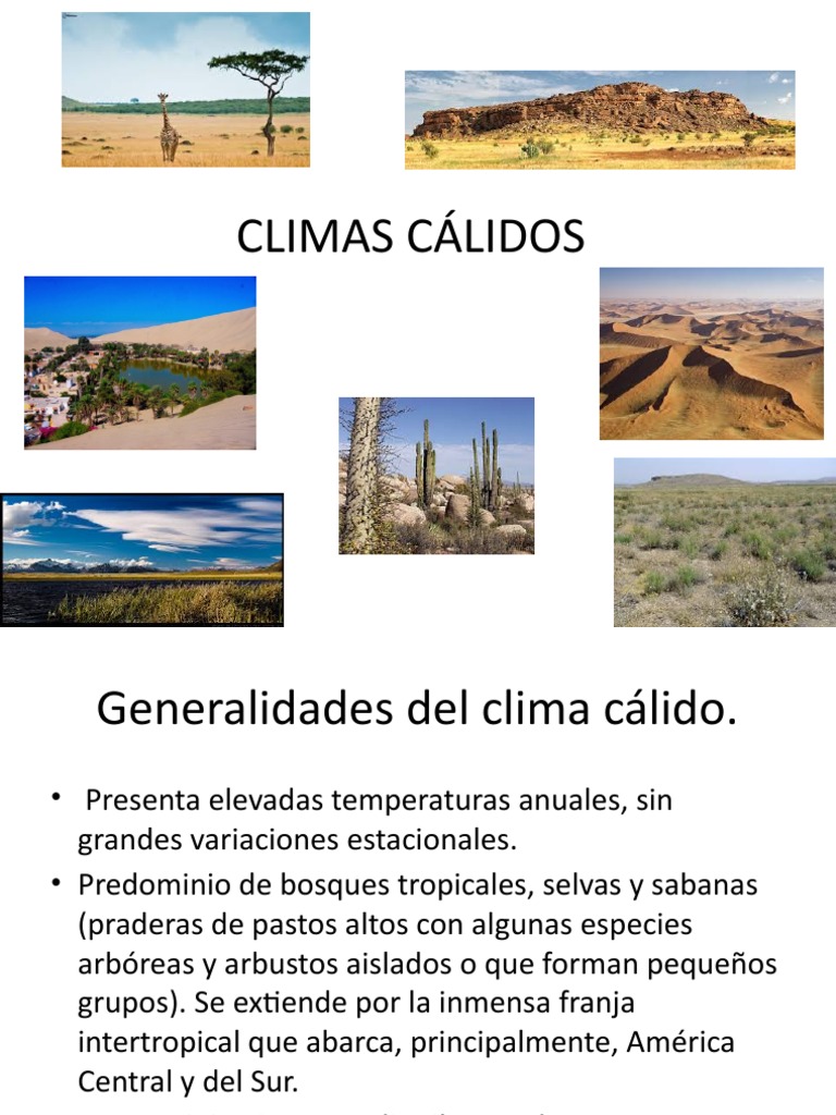 Climas Cálidos | Zona tropical | Clima
