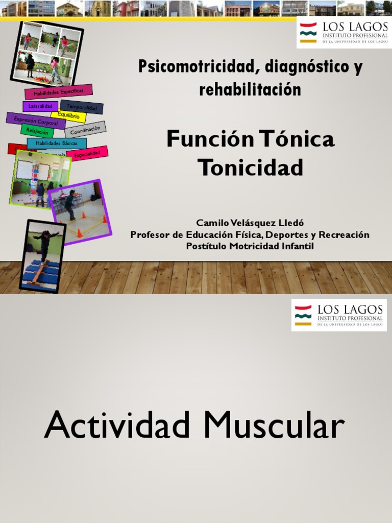 5 - Tonicidad | PDF | Contracción muscular | Músculo
