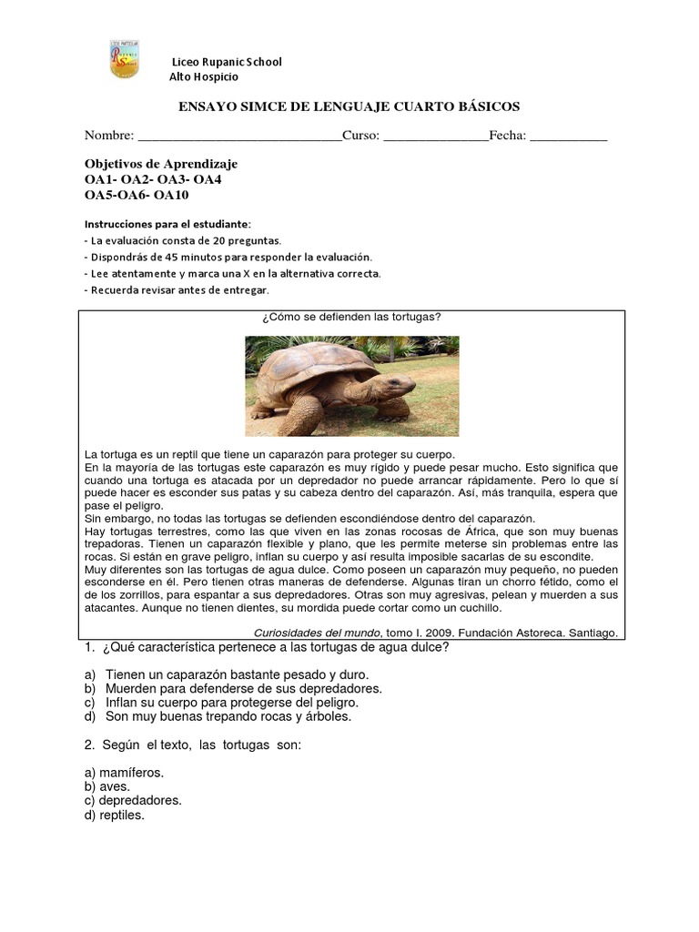 Guia Simce 2 Lenguaje Yanira | PDF | Tortuga | Ratón