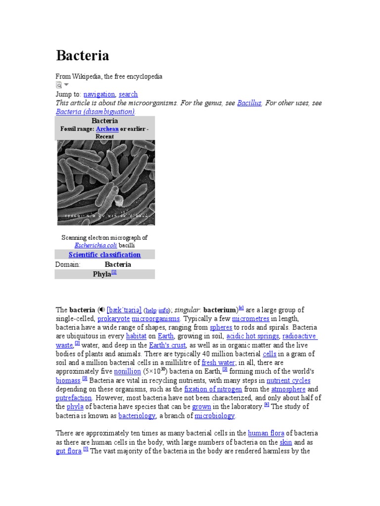 Overview of Bacteria and Their Roles | PDF | Bacteria | Cell Wall