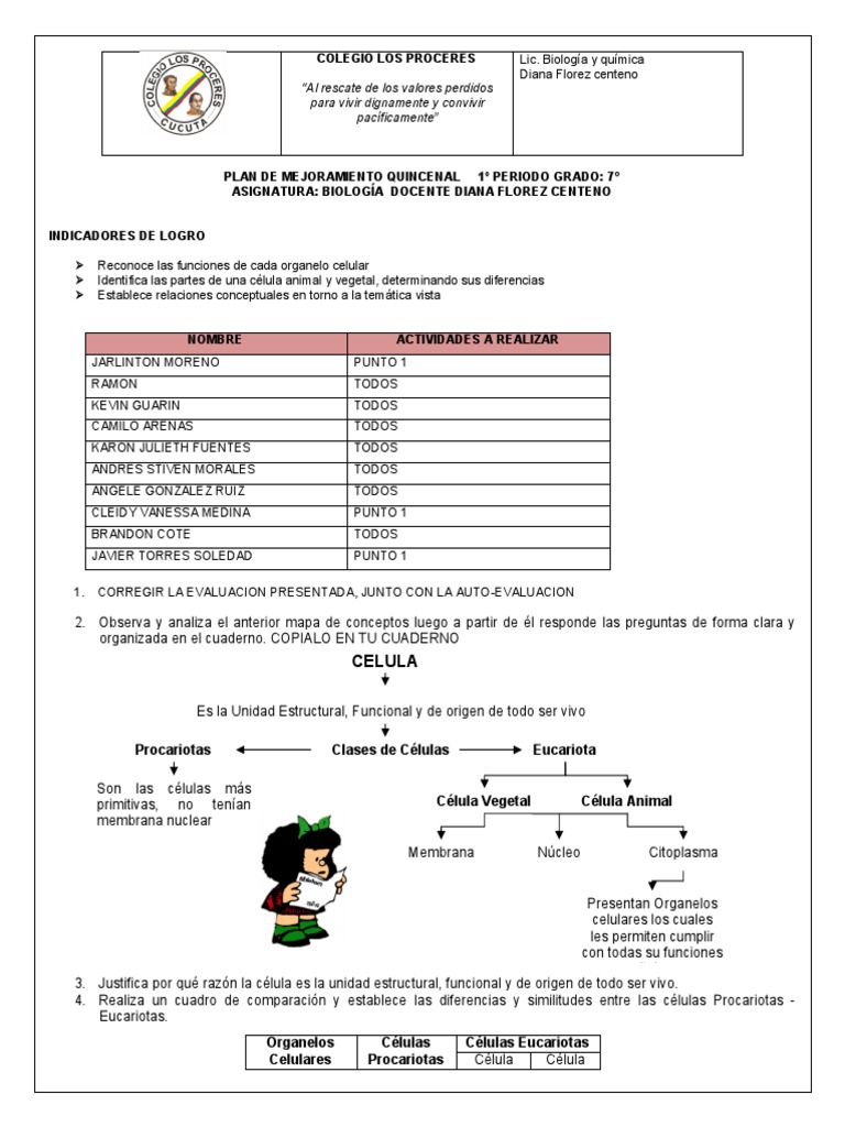 Análisis de la estructura y función celular | PDF | Citoplasma ...