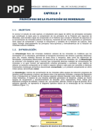 1.1historia Flotacion | PDF | Zinc | Minerales