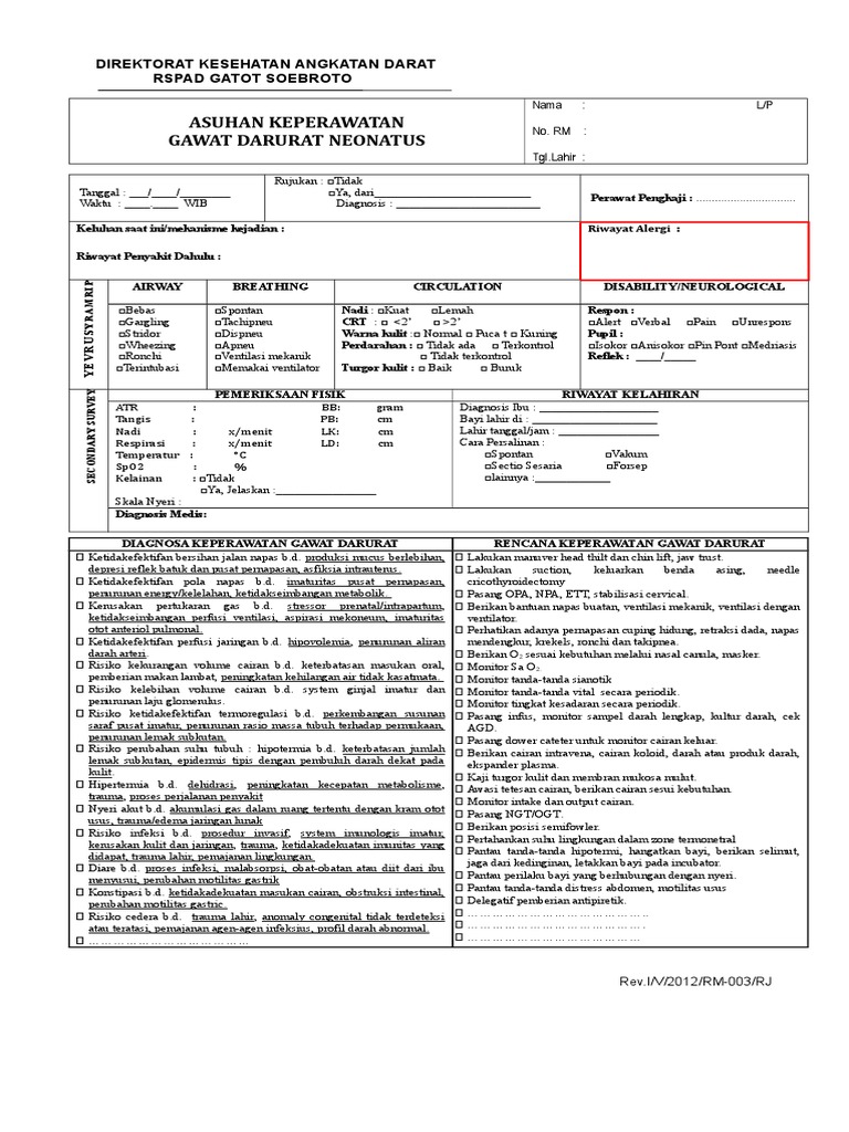 Form Askep Gadar Neonatus Rspad | PDF