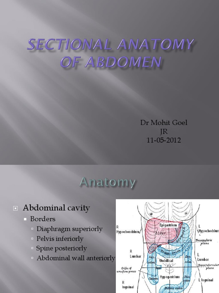 DR Mohit Goel JR 11-05-2012 | PDF | Abdomen | Large Intestine