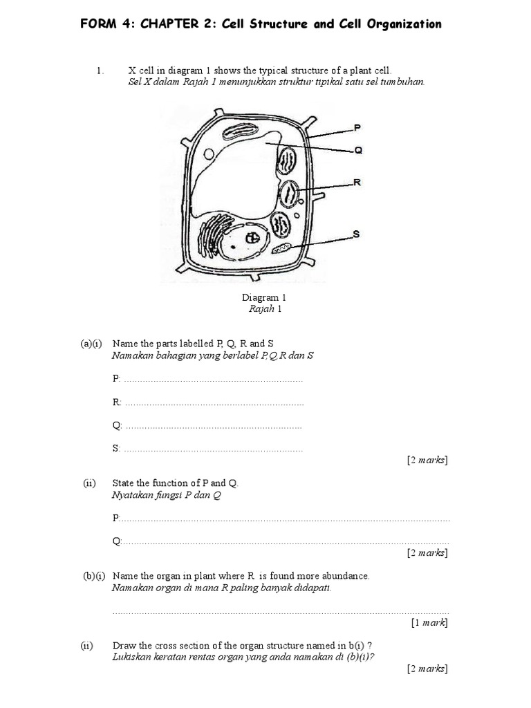 FORM 4: CHAPTER 2: Cell Structure and Cell Organization | PDF | Tissue ...