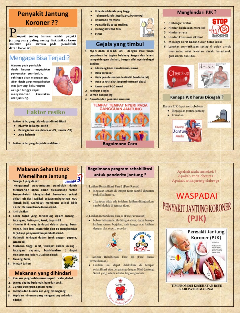 Leaflet PJK Kolaborasi | PDF