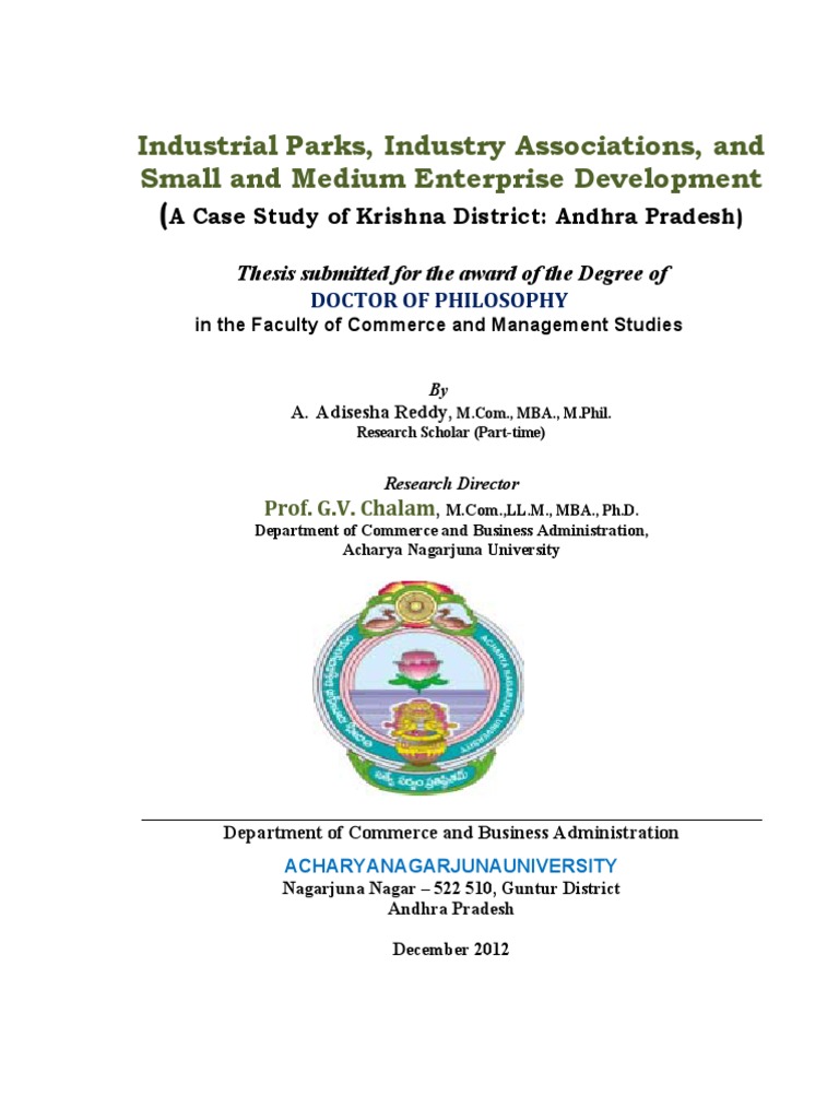 Industrial Parks, Industry Associations, and Small and Medium ...