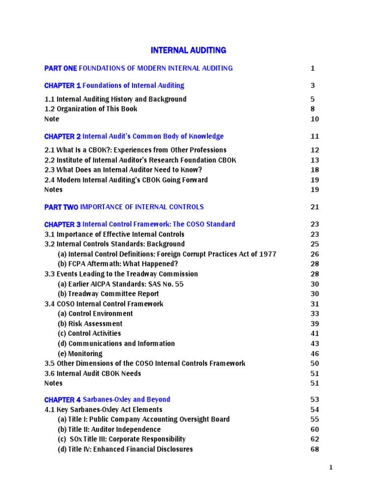 00 Outline IA | PDF | Internal Audit | Internal Control