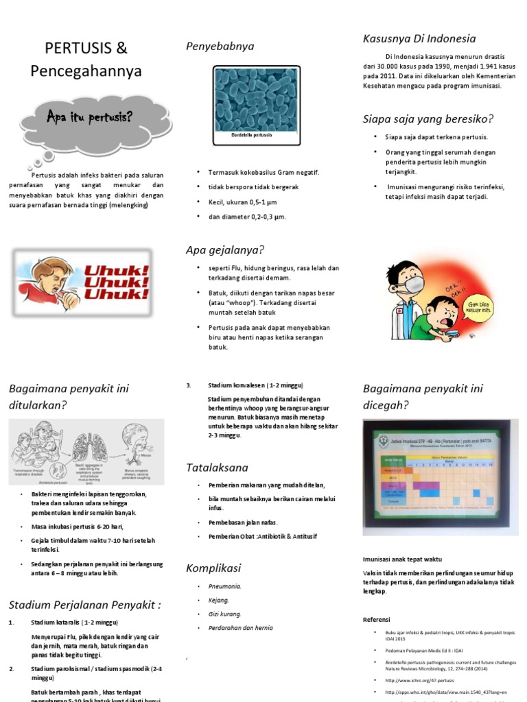 Leaflet Fixx Pertusis | PDF