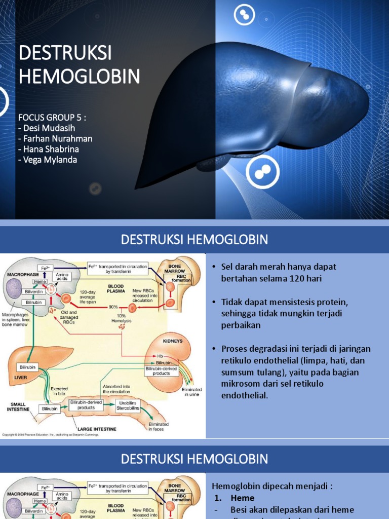 Proses Destruksi Hemoglobin dan Bilirubin | PDF