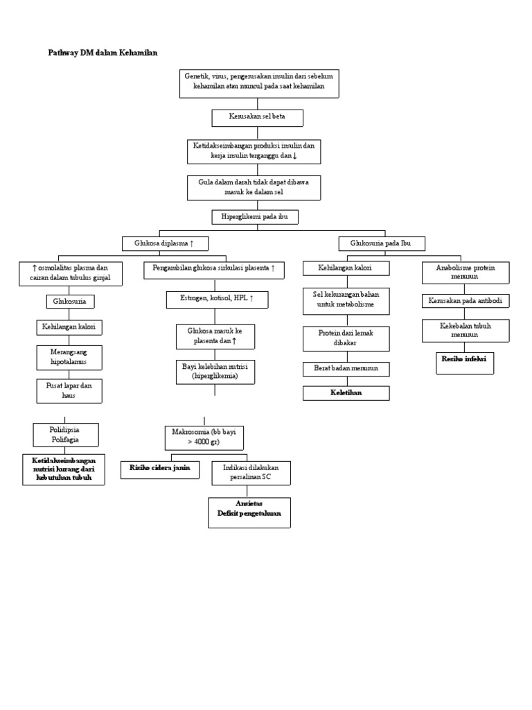 Pathway DM Dalam Kehamilan | PDF
