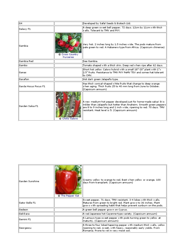 Chilli Varieties | PDF | Capsicum | Bell Pepper