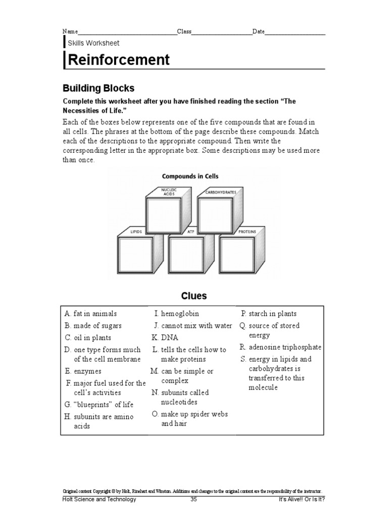 Reinforcement Worksheet | PDF | Cell (Biology) | Lipid