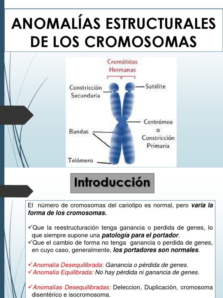Anomalias Estructurales Del Cromosoma | Deletion (Genetics) | Chromosome