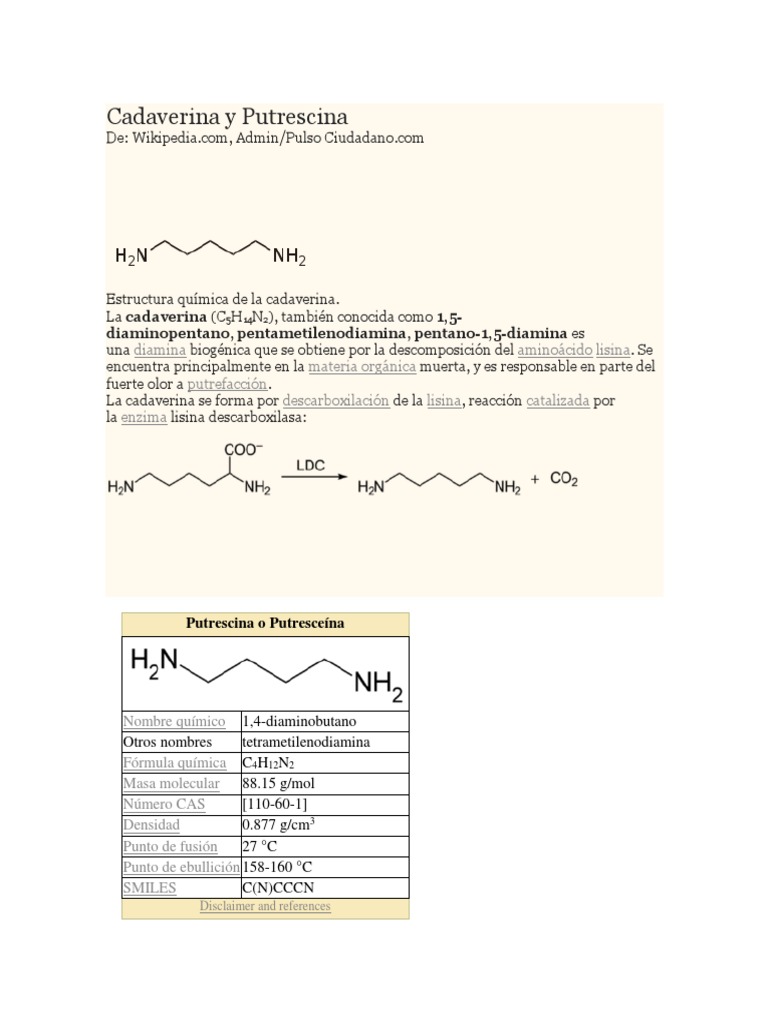 Cadaverina y Putrescina | PDF | Grupo funcional | Compuestos químicos