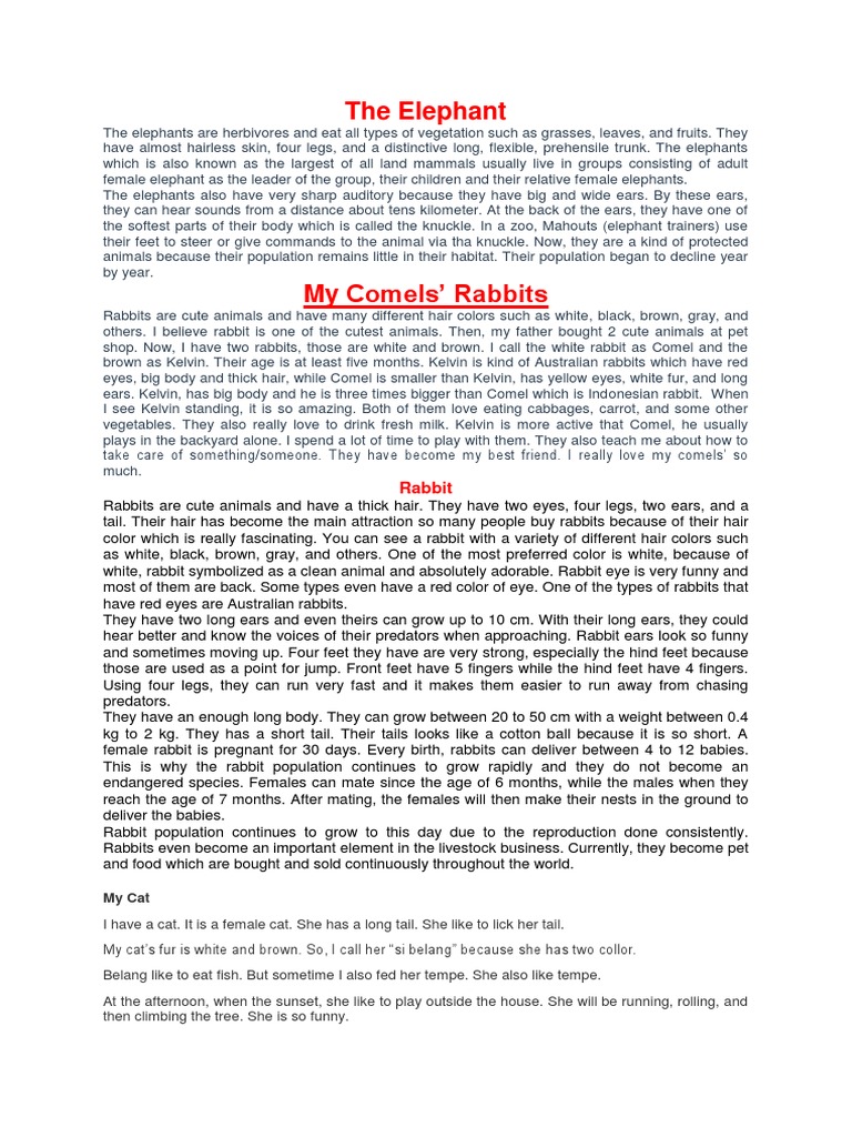 Descriptive Texts About Animals | PDF | Elephant | Giraffe