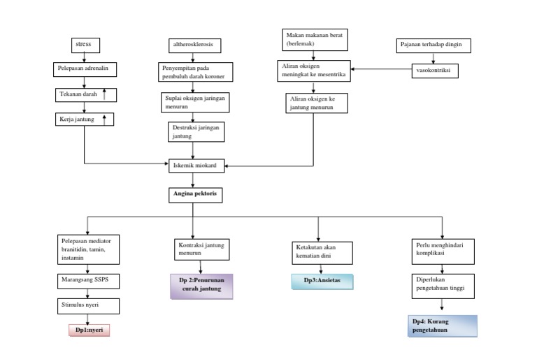 WOC Angina Pektoris | PDF