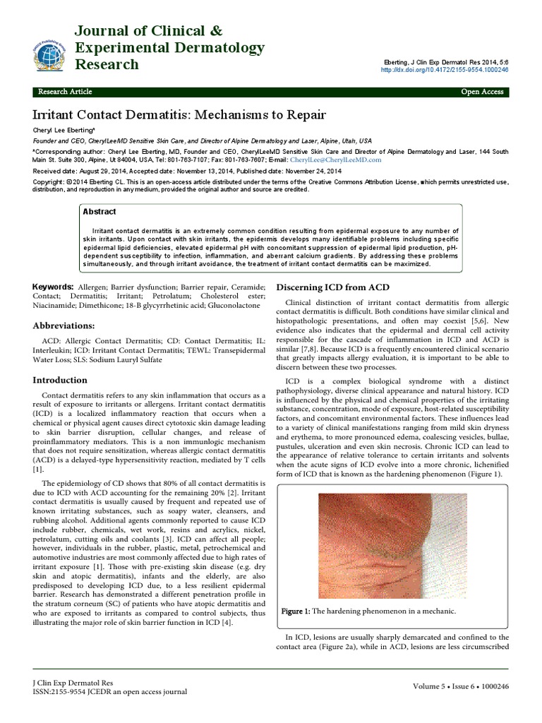 Understanding Irritant Contact Dermatitis | PDF | Epidermis | Dermatitis