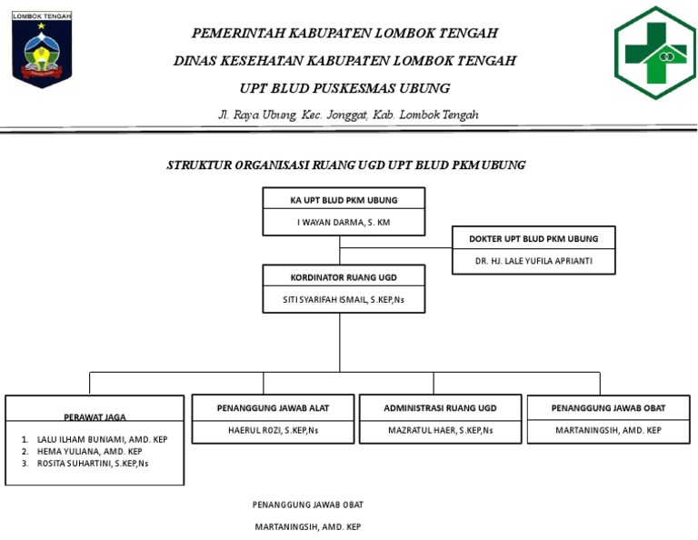 Struktur Organisasi Ruang Ugd New | PDF