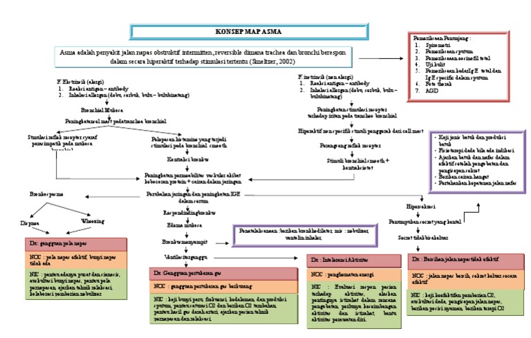 Konsep Map Asma | PDF