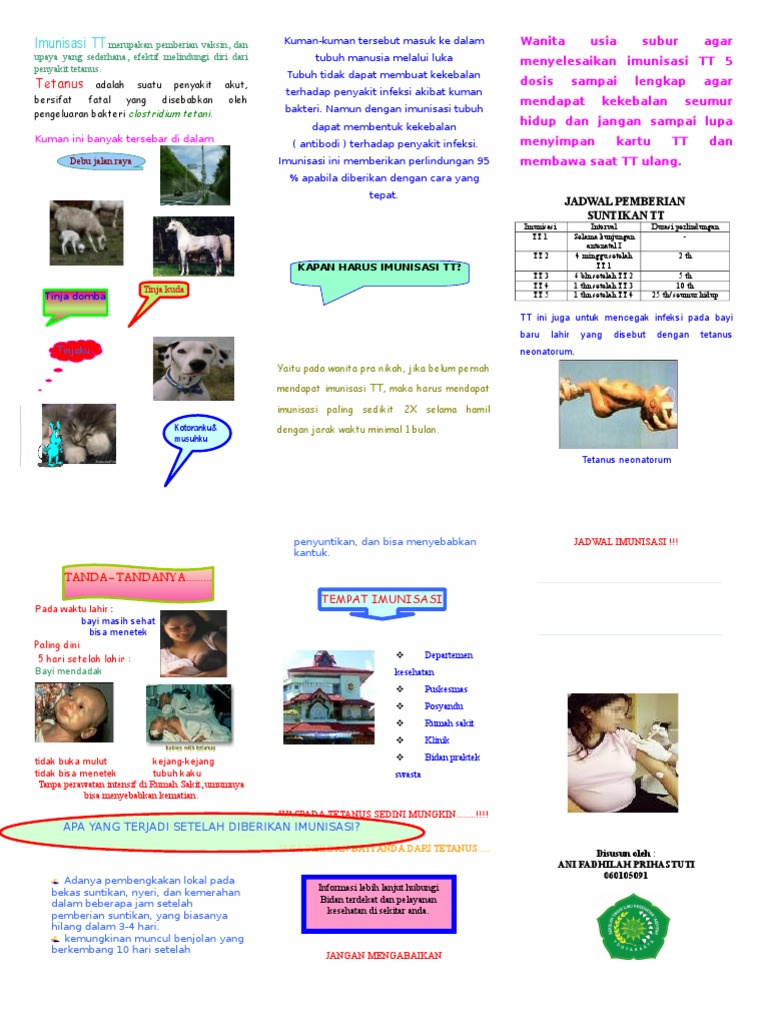 LEAFLET Imunisasi TT | PDF