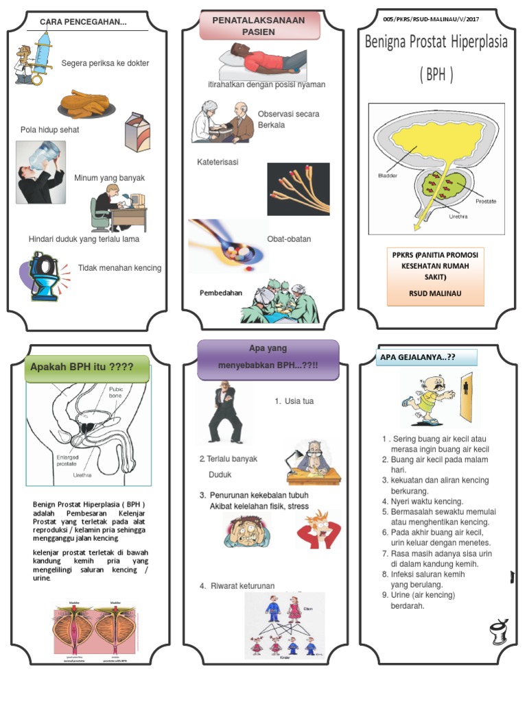 Leaflet BPH New | PDF