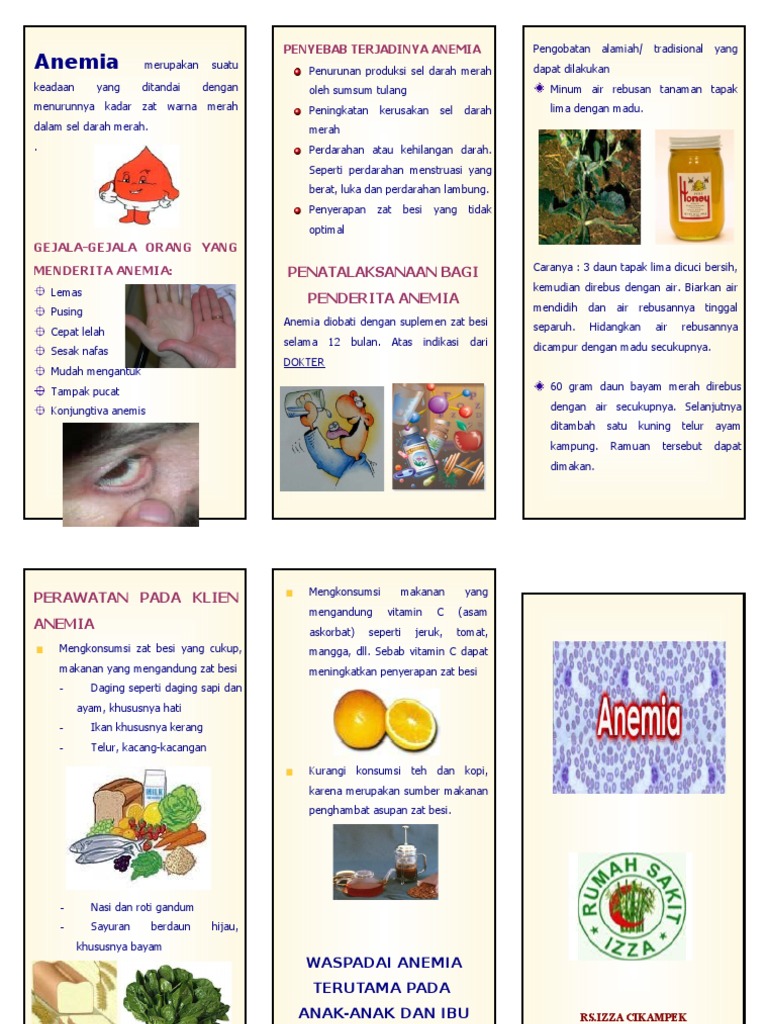 1.leaflet Anemia | PDF