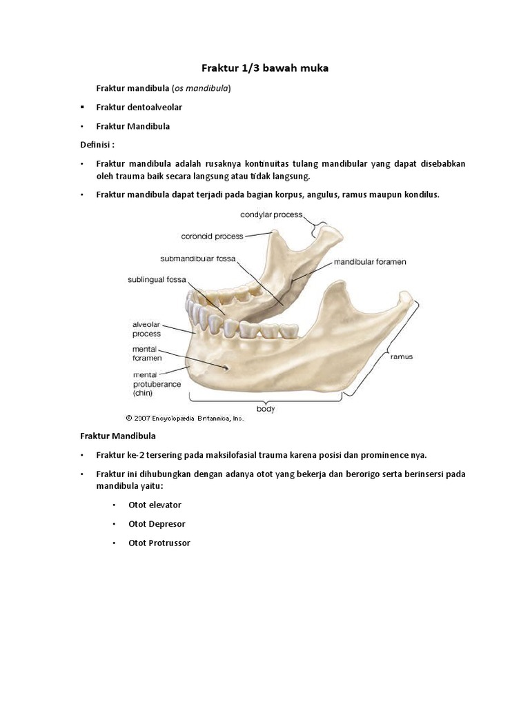 Fraktur Mandibula | PDF