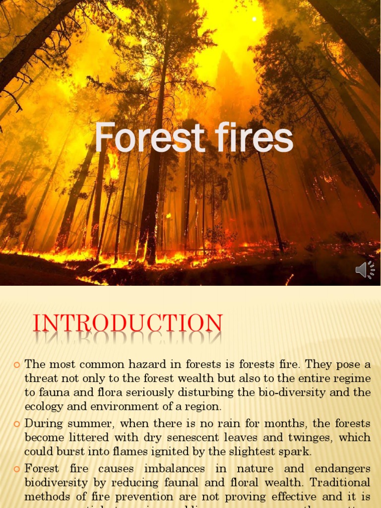Causes and Effects of Forest Fires | PDF | Wildfire | Forests