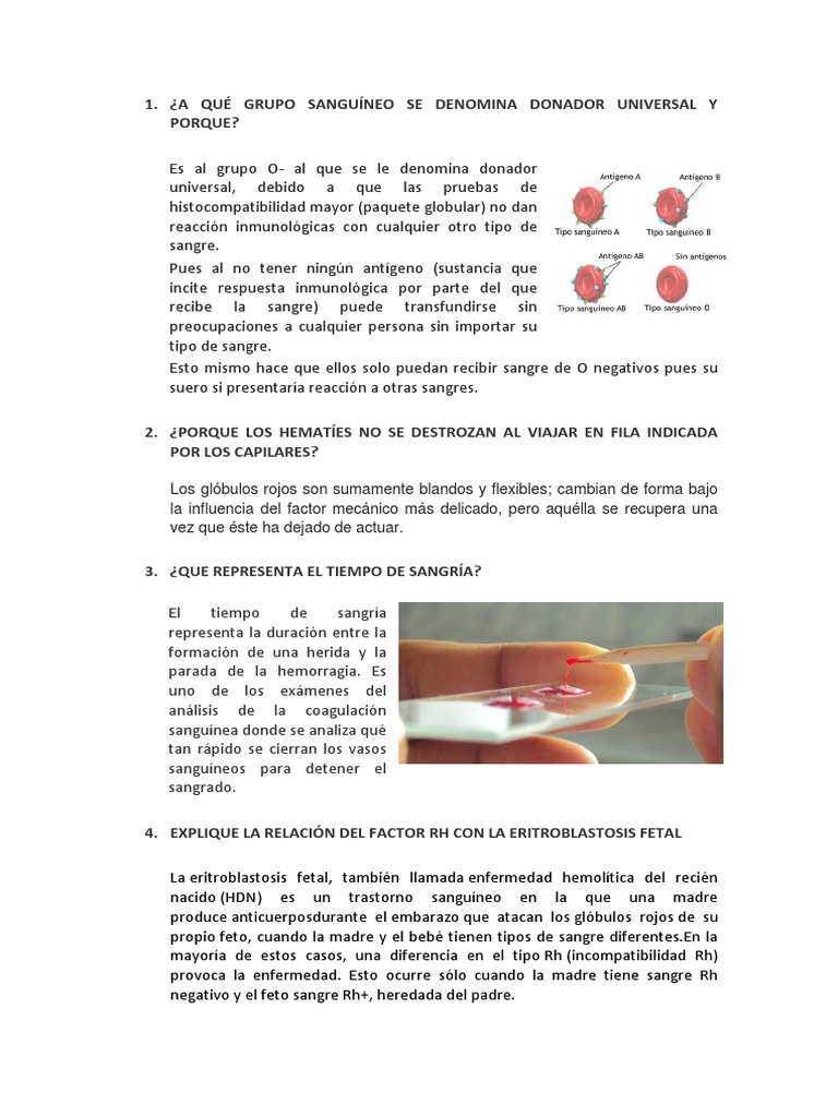 A Qué Grupo Sanguíneo Se Denomina Donador Universal y Porque | Tipo de ...