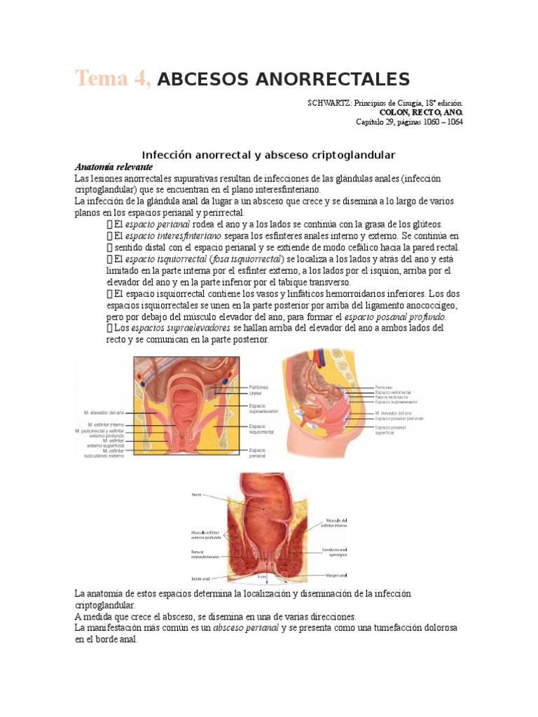 4) Abscesos Anorrectales | PDF | Medicina CLINICA | Medicina