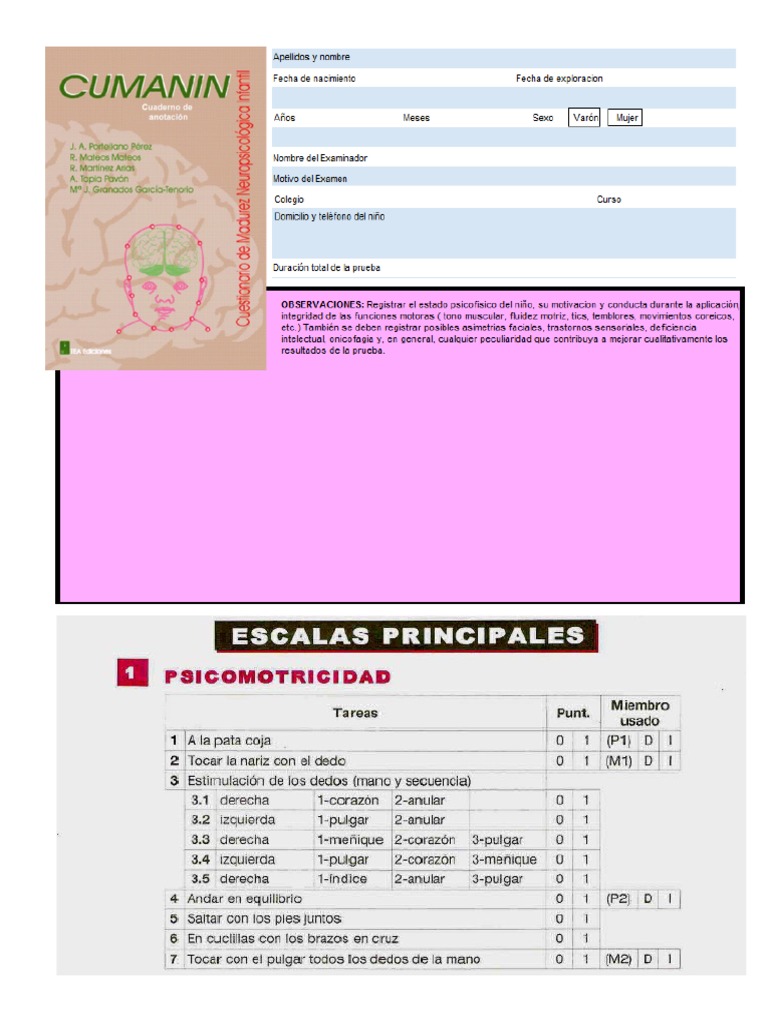 Protocolo Cumanin | PDF