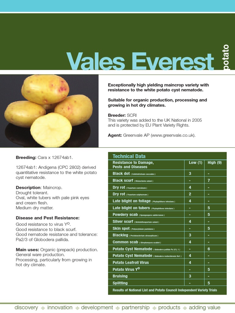 Potato Vales Everest | PDF | Potato | Pest (Organism)