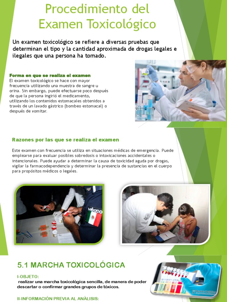 Procedimiento Del Examen Toxicológico | PDF | La dependencia de ...
