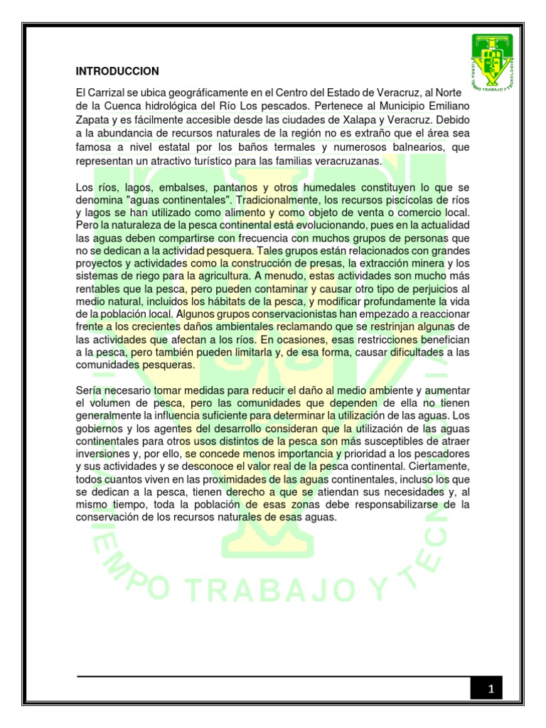 Morfologia de Rios 2 | PDF | Río | Ciencias de la Tierra