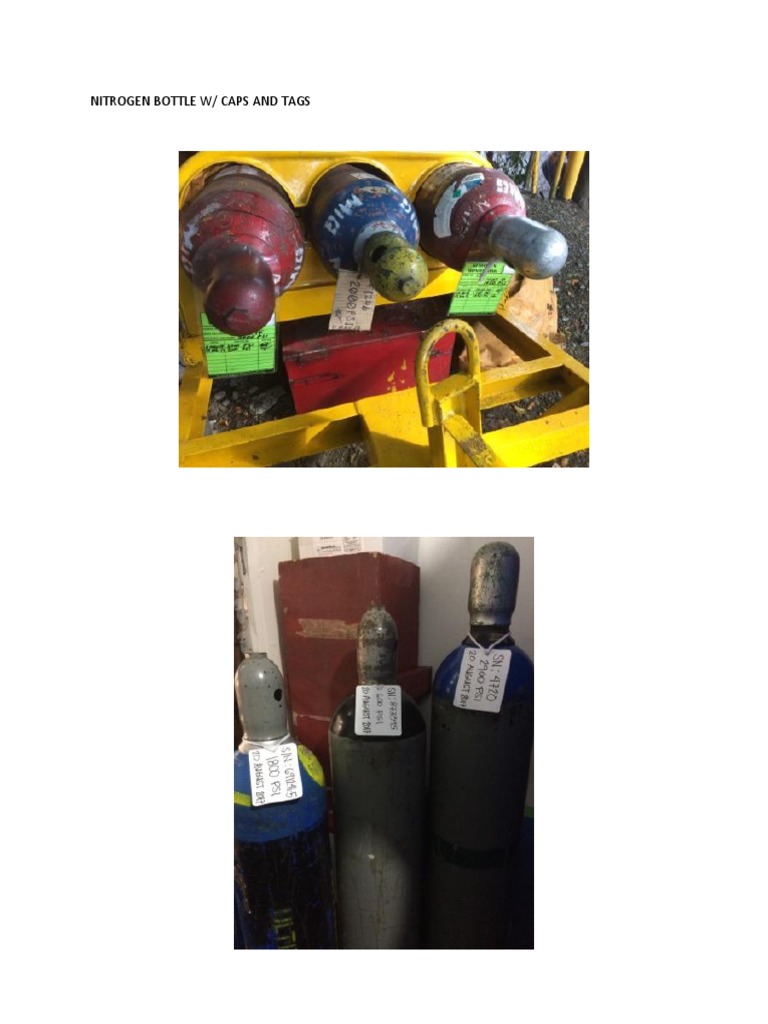 Nitrogen Bottle W/ Caps and Tags | PDF