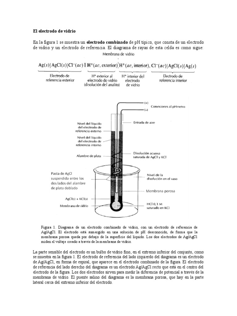 Electrodo Combinado de pH: Estructura y Función | PDF | Métodos y ...
