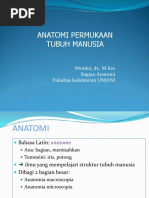 Pembagian Regio Tubuh Manusia | PDF | Kesehatan Holistik | Sains ...
