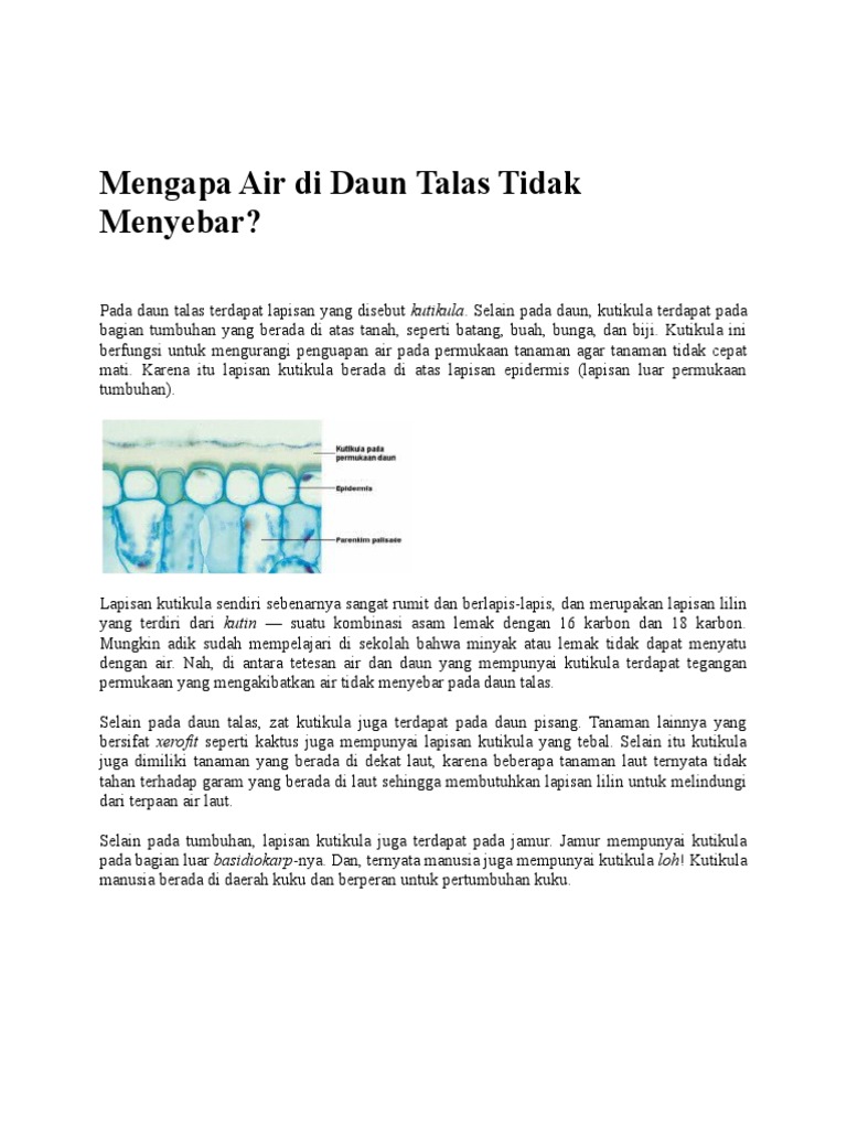 Fungsi Kutikula pada Daun Talas | PDF