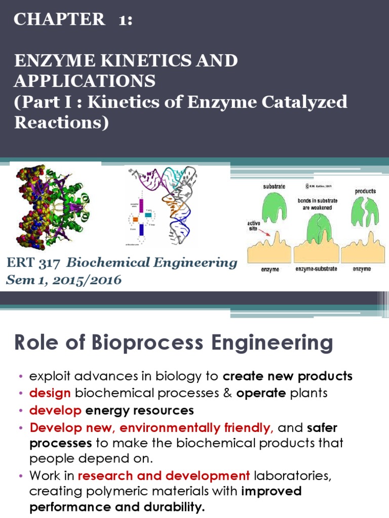 Bioprocess Engineering Essentials | PDF | Catalysis | Enzyme Kinetics