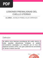 Culdocentesis: Procedimiento y Usos | PDF | Útero | Peritoneo