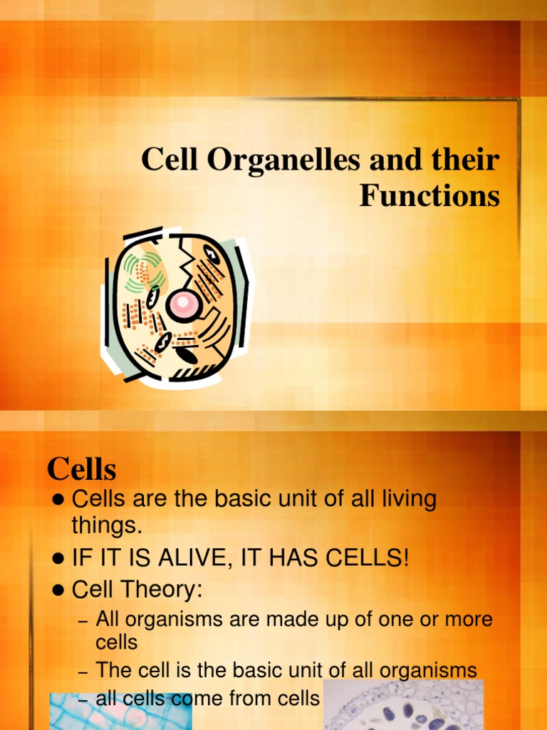 Cell Organelles and Their Functions | PDF | Cell Nucleus | Cell (Biology)