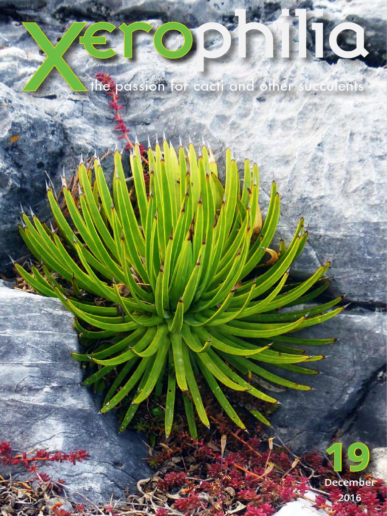 xerophilia-2016.12-19 | Plants | Botany | Free 30-day Trial | Scribd