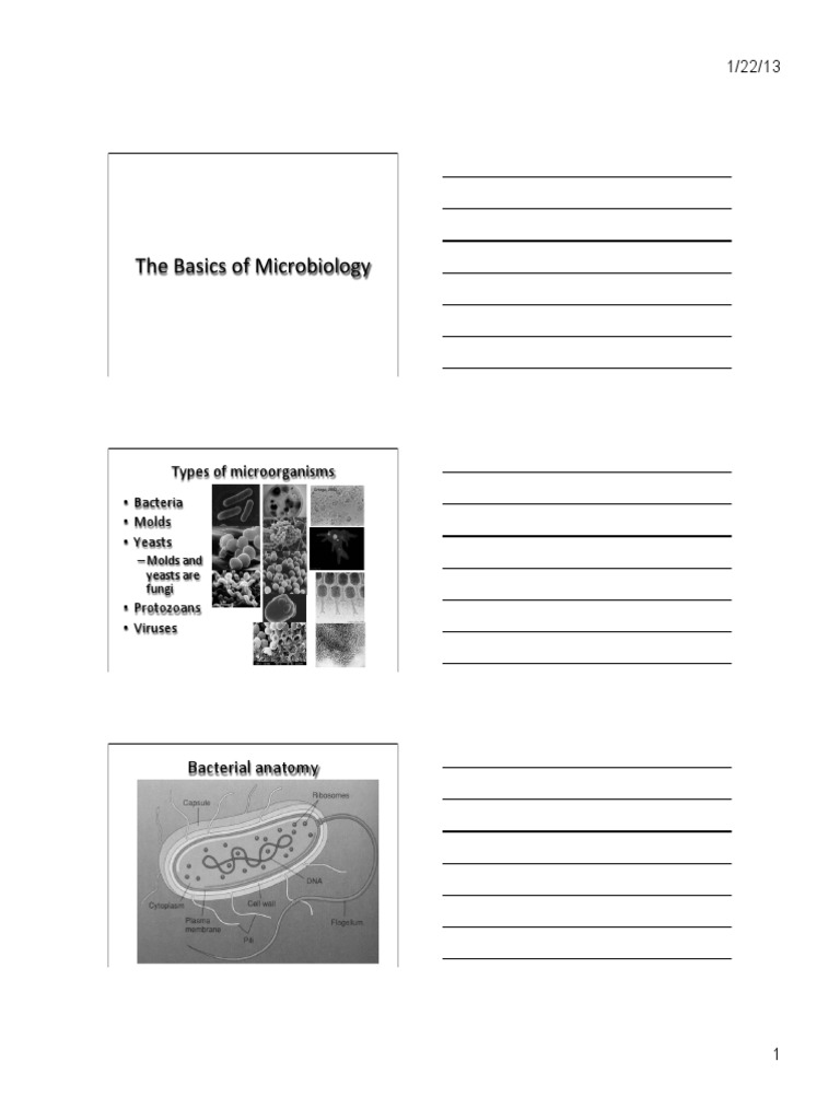 The Basics of Microbiology | PDF | Food Preservation | Bacteria