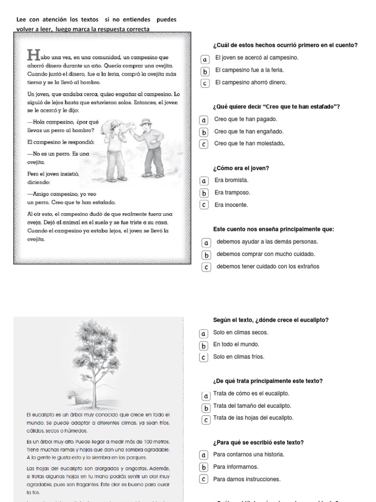 Ficha Evaluacion Tipo-Ece | PDF | Ocio