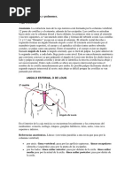Ángulo de Louis | PDF | Tórax | Anatomía humana