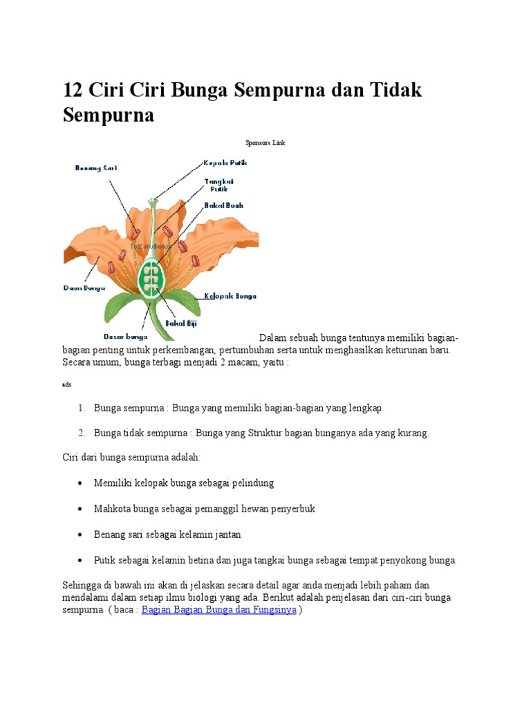 12 Ciri Ciri Bunga Sempurna Dan Tidak Sempurna | PDF