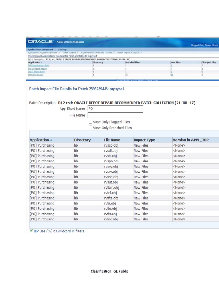 Patch Analysis | PDF | Social Science