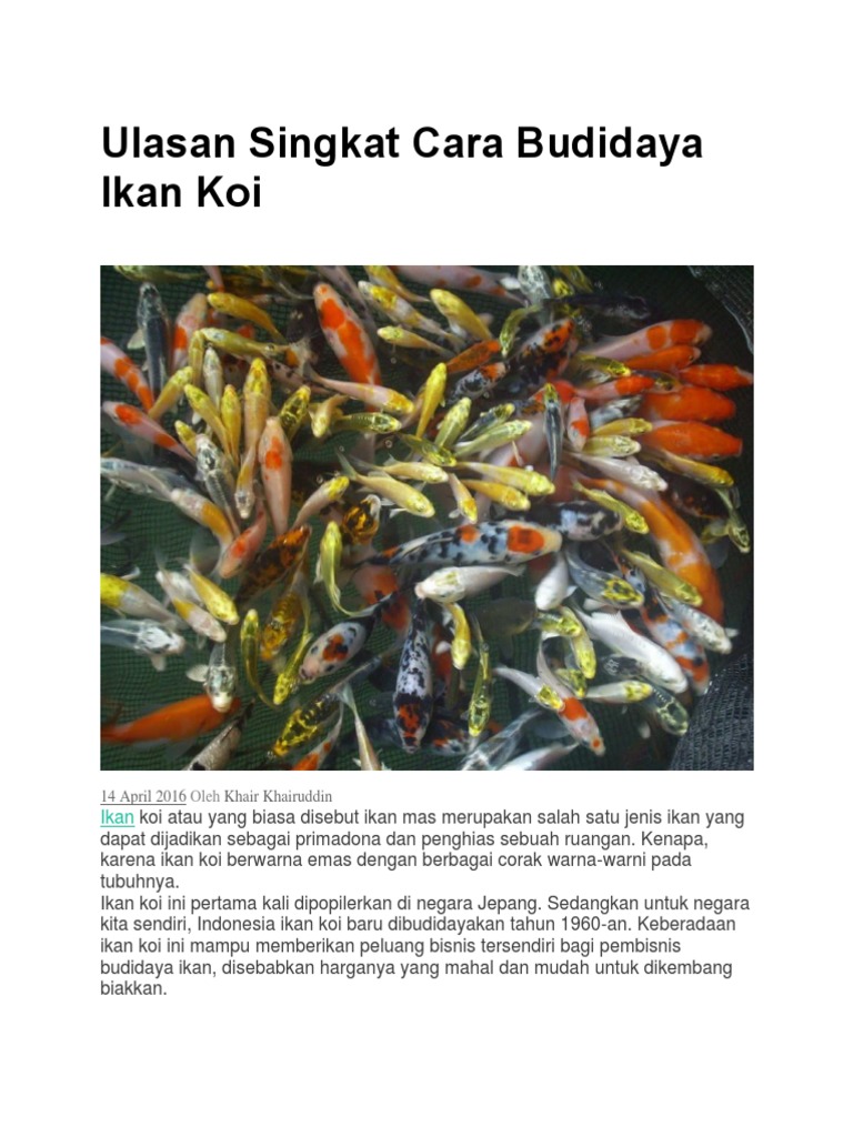 Panduan Budidaya Ikan Koi | PDF